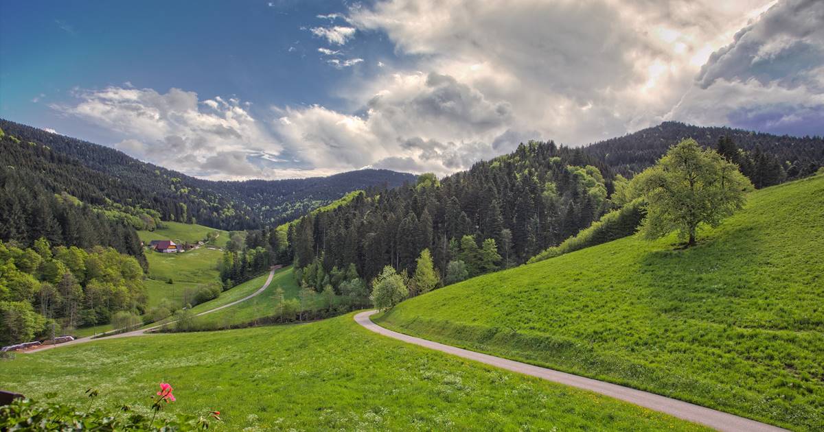 Oberharmersbach - Natur erleben Ferienwohnung Stinneshof